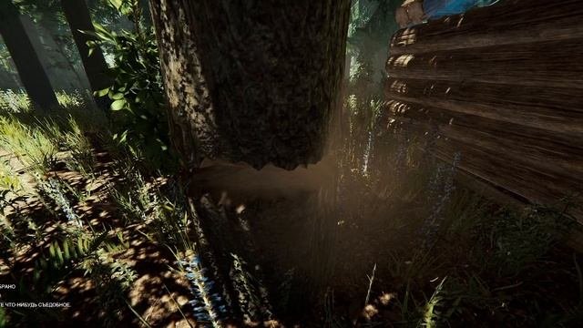 The Forest. Построил 2 дома. Один. 05.10.2025