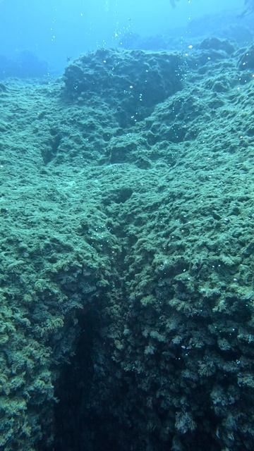 дайвинг в Турции