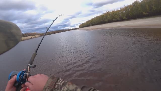 Охота и рыбалка в ХМАО - ЯНАО | Охота за трофейной щукой... поймал - отпустил