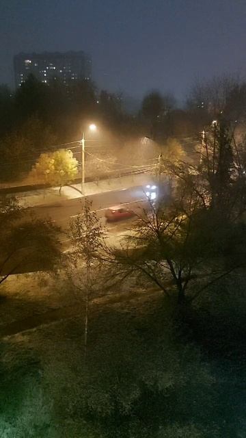 Октябрьский снег над парком Юннатов в Красноярске