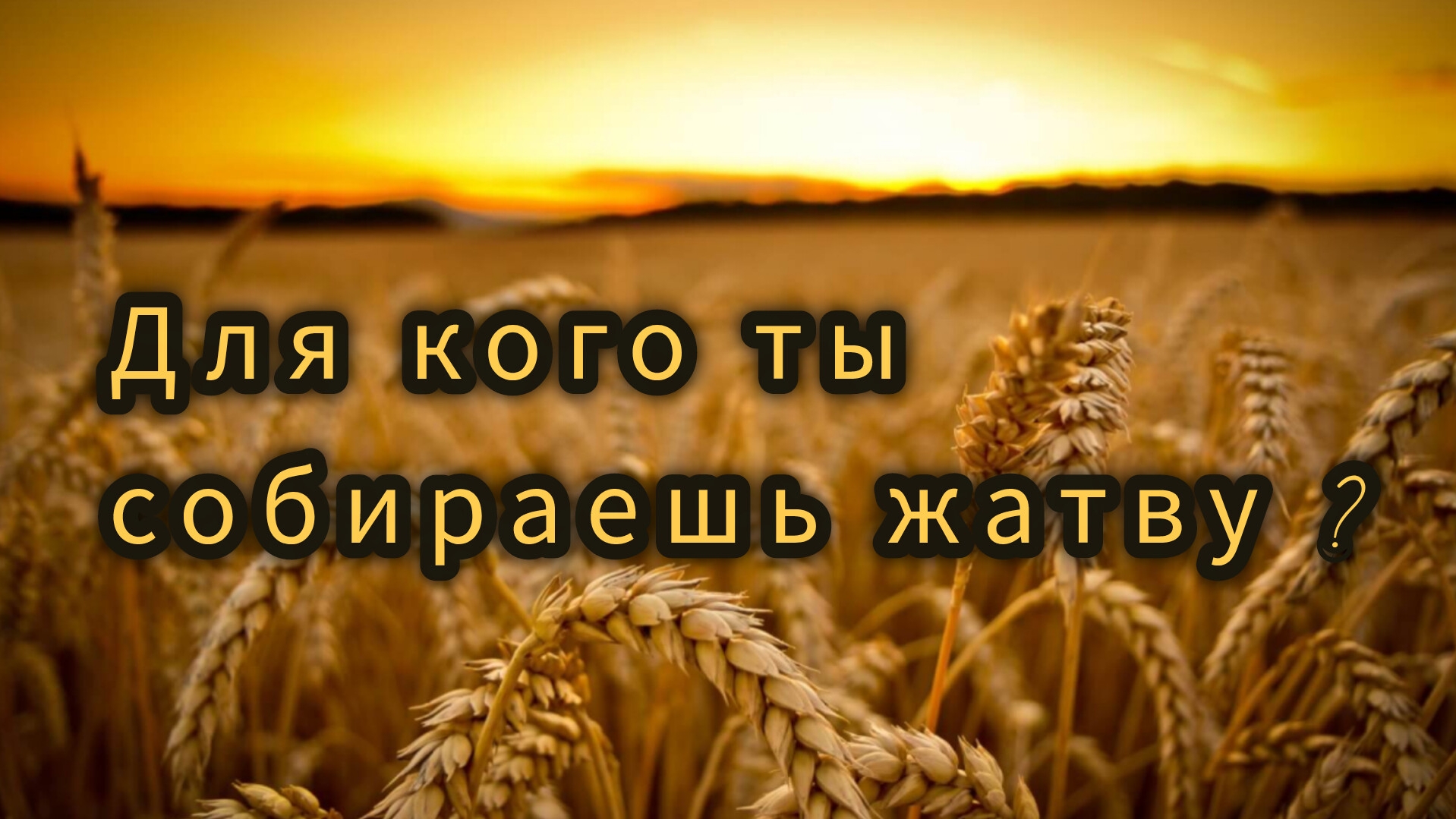 "Для кого ты собираешь жатву?", проповедует Екатерина Облицева