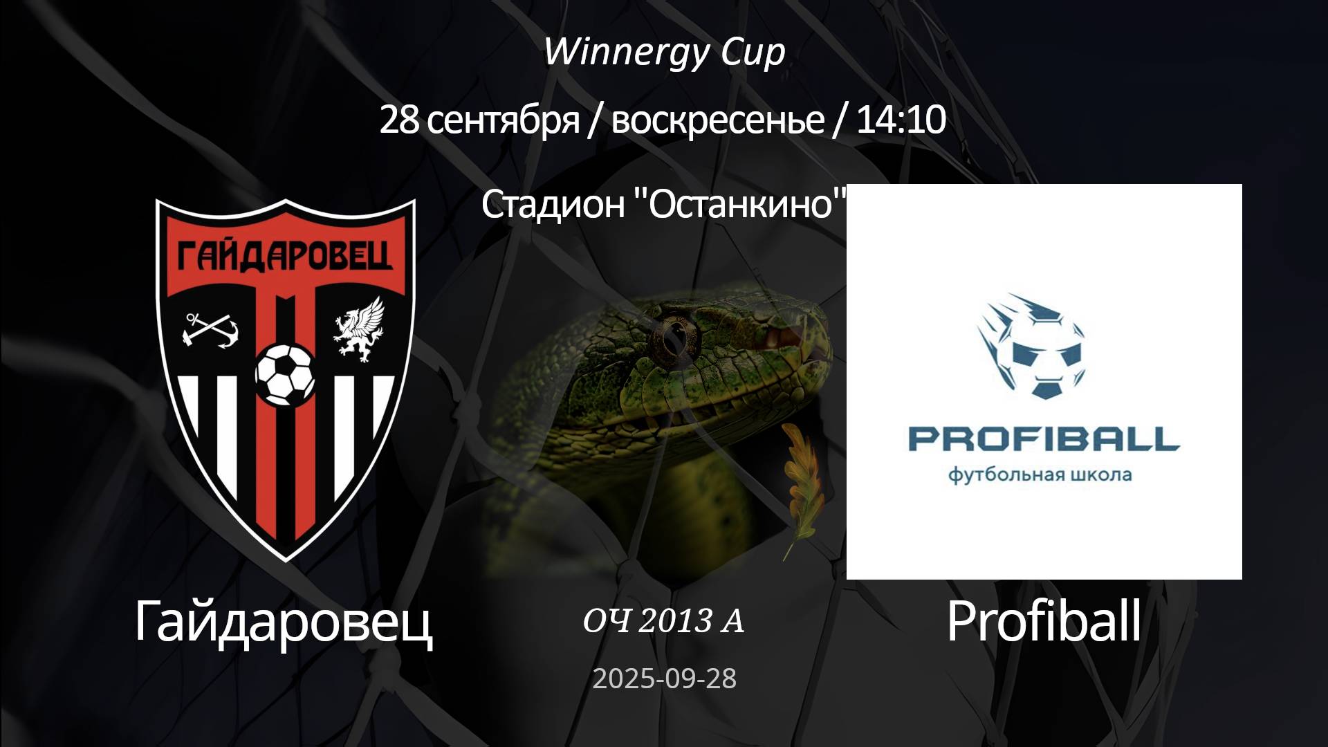 Гайдаровец — Profiball 2013 А (7+1) Winnergy Cup 28.09.2025