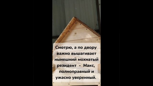 СказкиДракошМитюши САГА10 «БУДКА МЕЧТЫ..." Эпизод «ЛАЙ ИЗ ПРОШЛОГО...