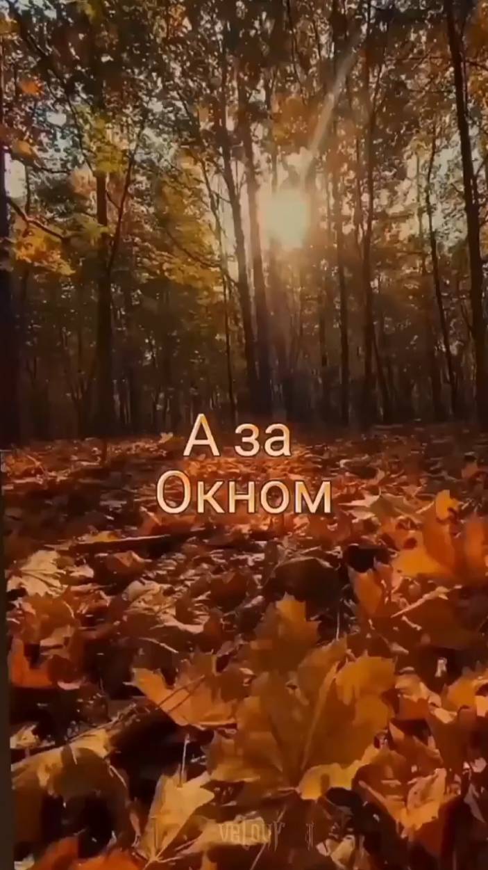 А за окном во сю гуляет осень!