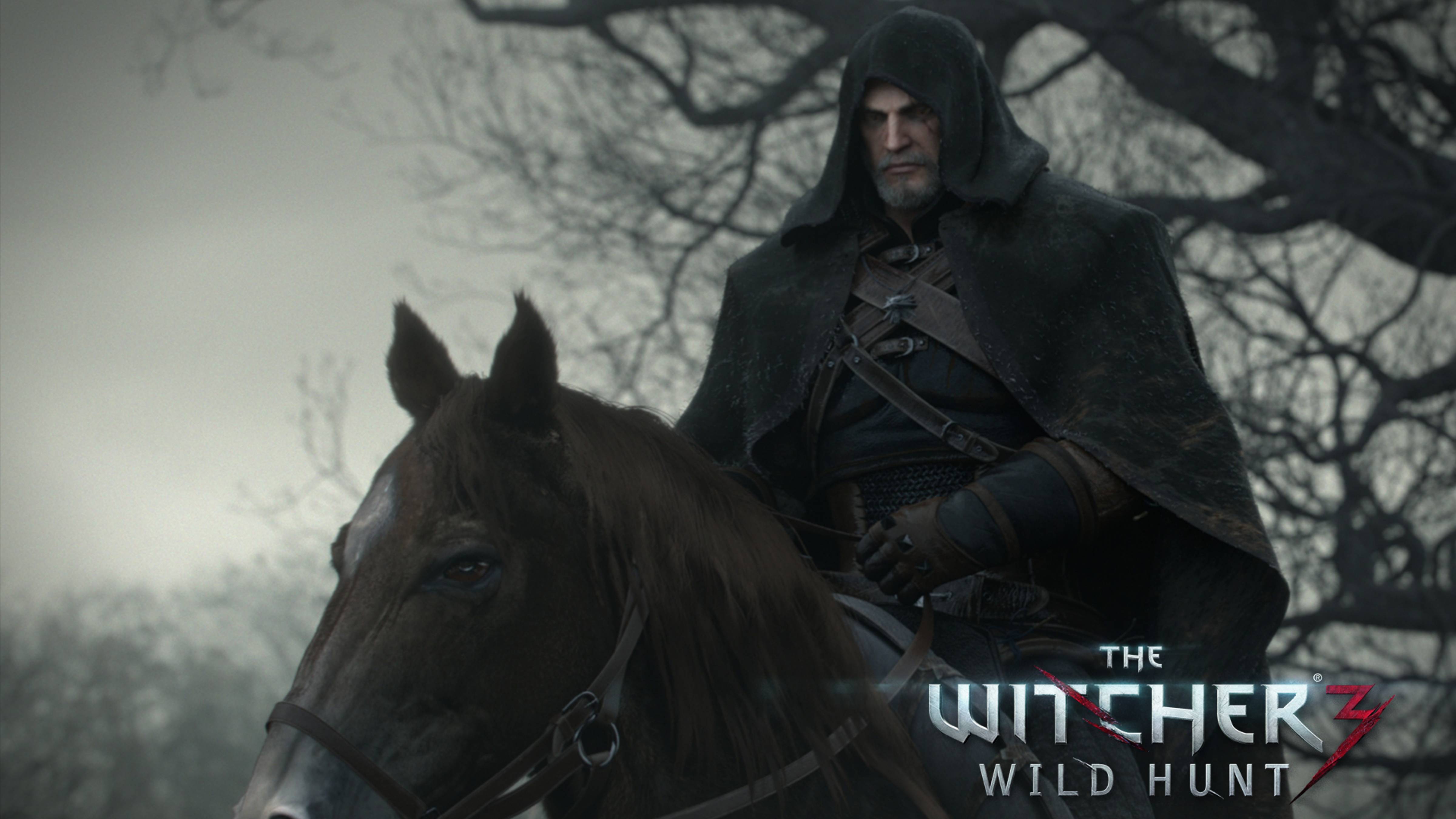 The Witcher 3 Wild Hunt - Убийца чудовищ. 4К.