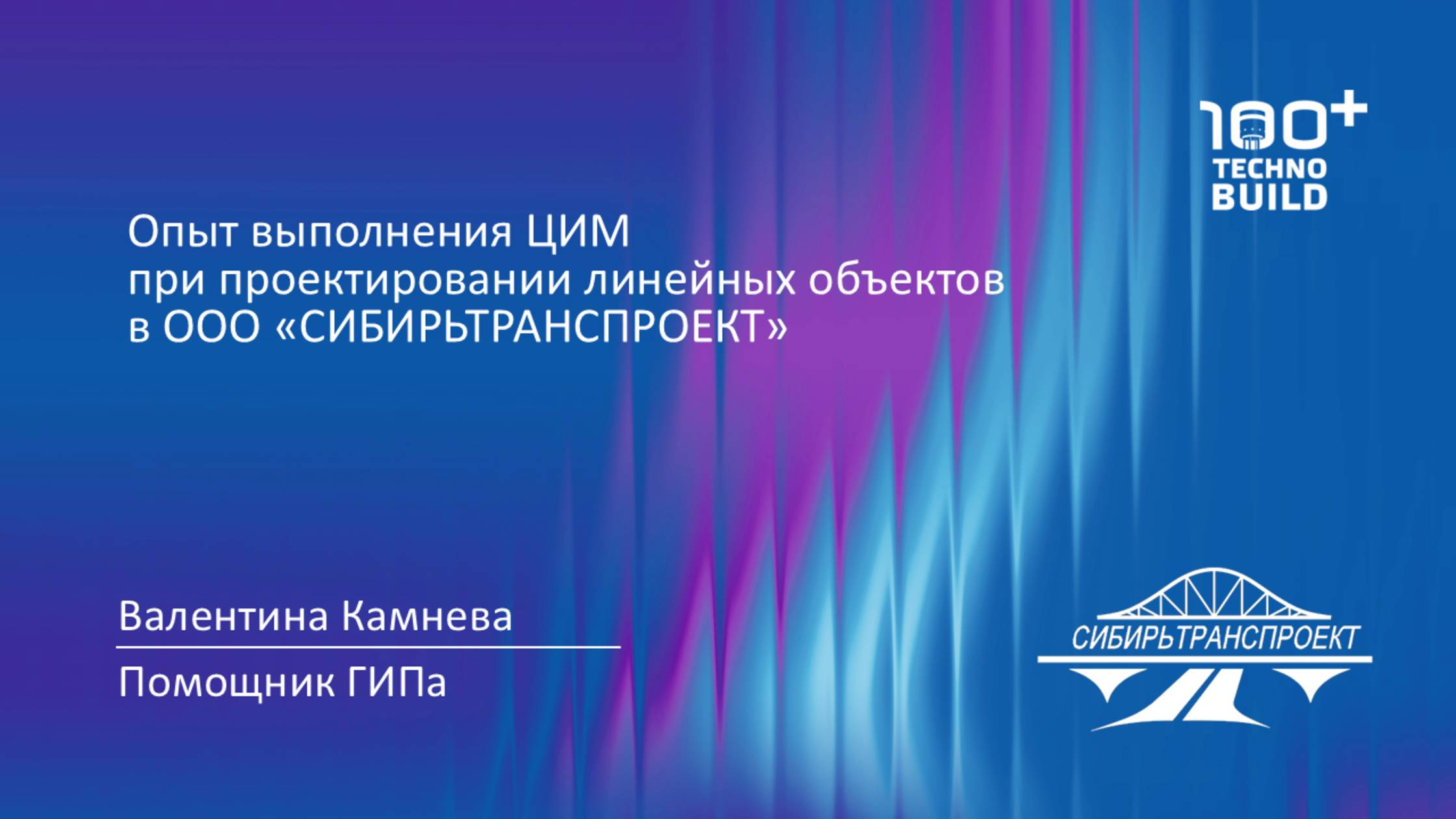 Камнева Валентина "Опыт выполнения ЦИМ в ООО «Сибирьтранспроект» с использованием «ТИМ КРЕДО»"