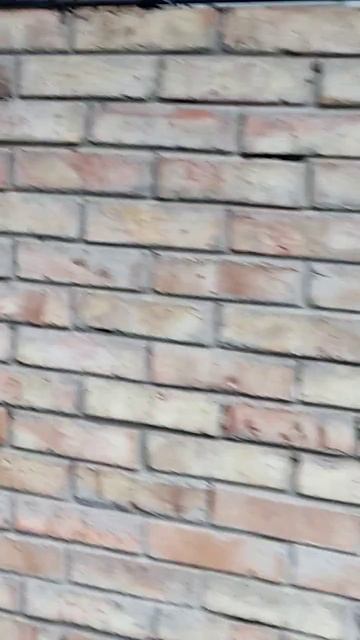 Гурзуф. Гостевые номера.