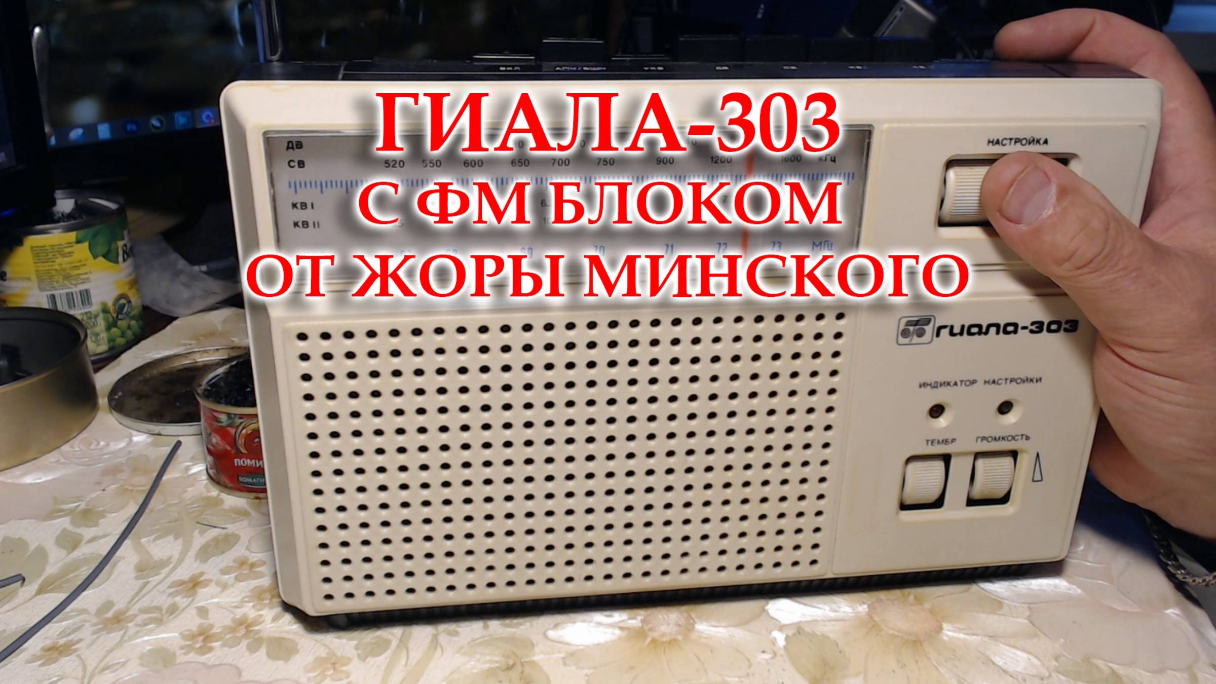 Гиала 303 с блоком мини ФМ от Жоры Минского