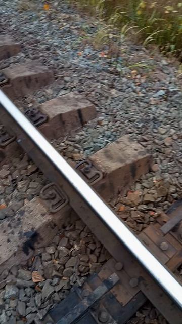 14_Неведомое устройство на железке