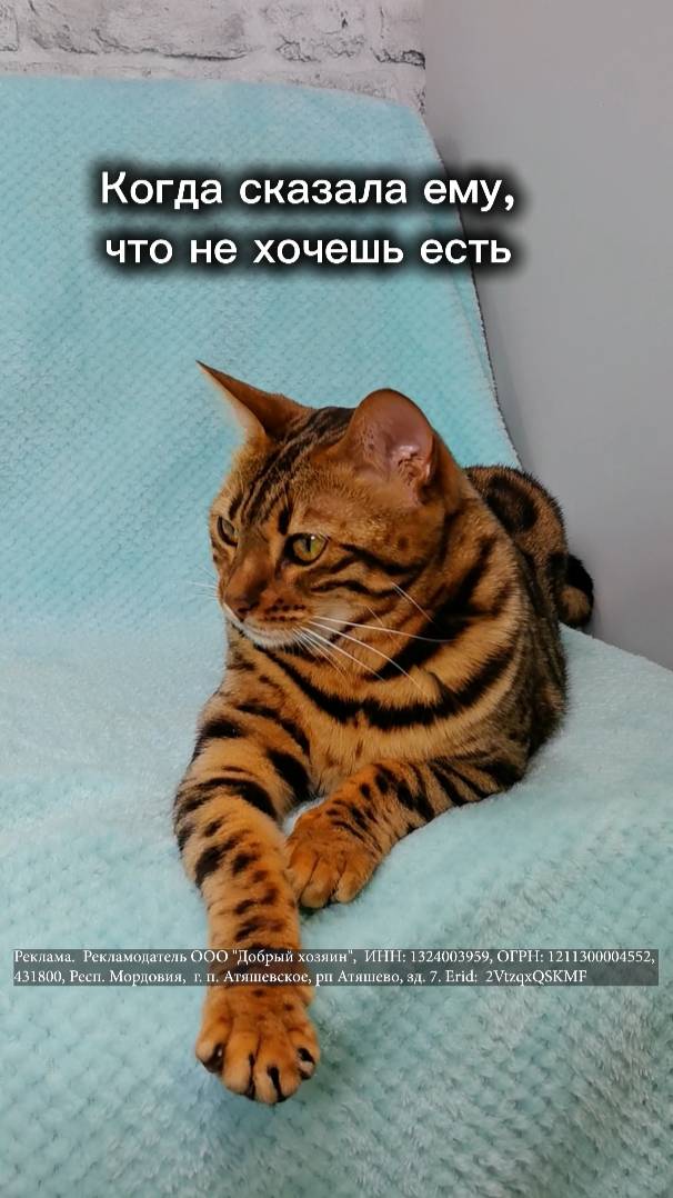 КУСЬ-ШОУ Приготовил только на себя