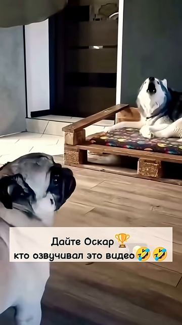 Гениальная озвучка!! 😂😂