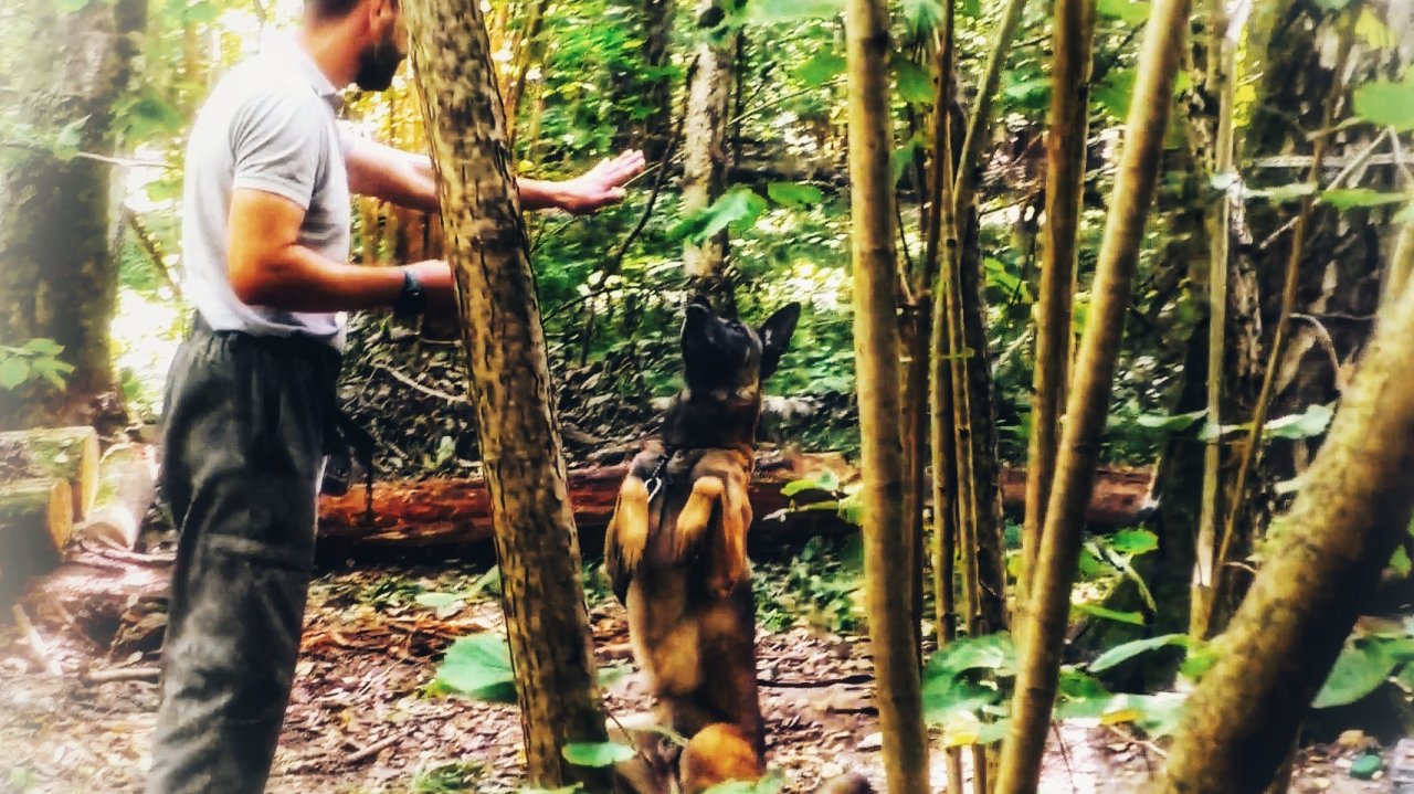 Малинуа Мокко. Хроника одной тренировки.