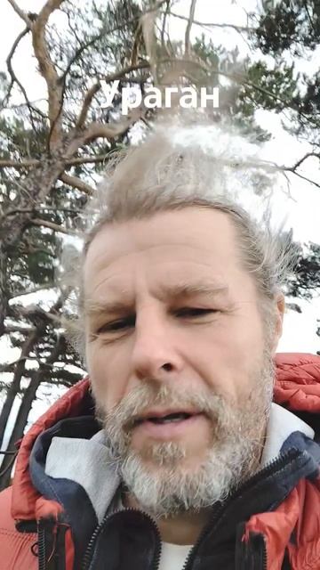 В самом эпицентре урагана  !