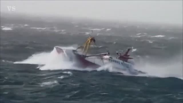 МОРСКОЙ КАПРИЗ