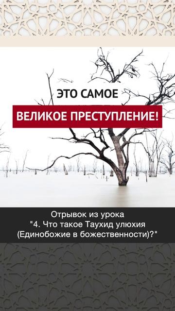 Это самое великое преступление! || Динар абу Идрис #ислам #факты #истина #вера #коран #аллах #пост