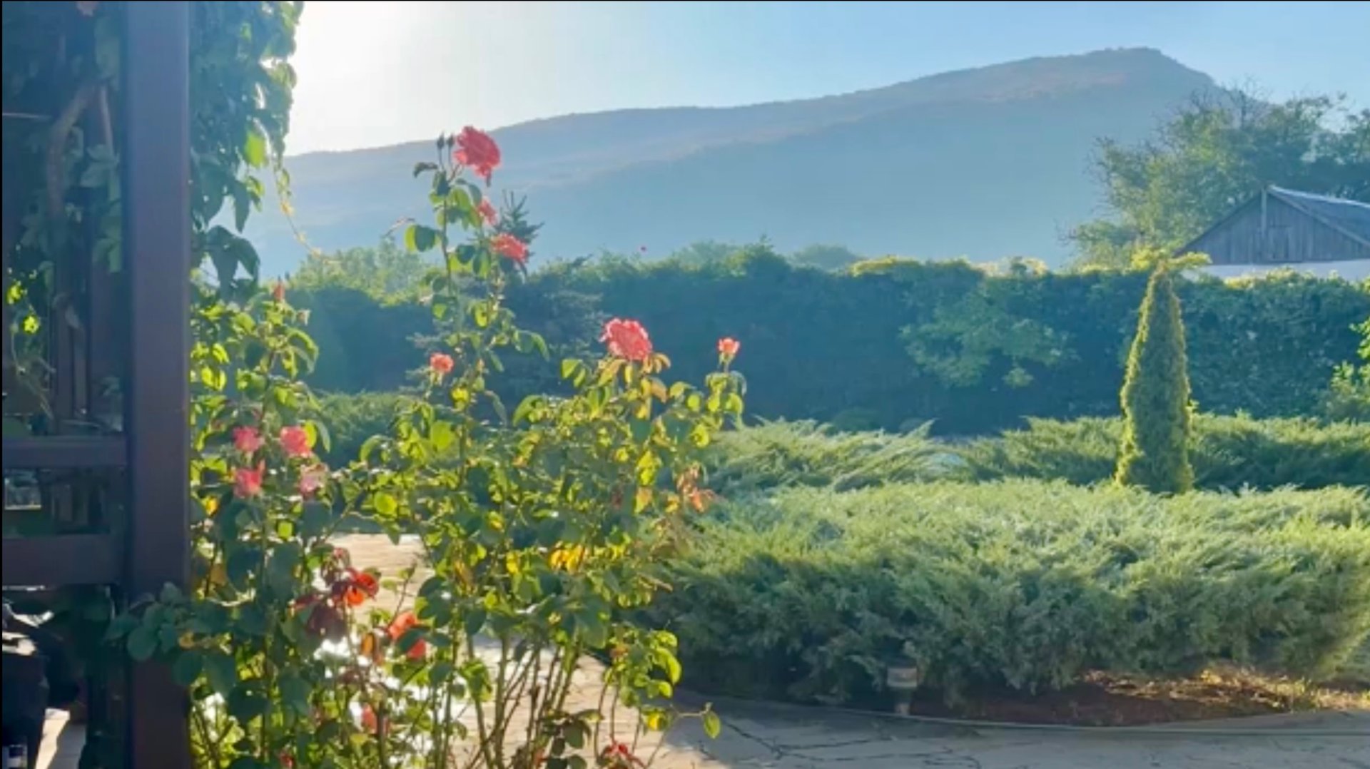 Раннее утро в Байдарской долине село Орлиное Крым сентябрь 2025