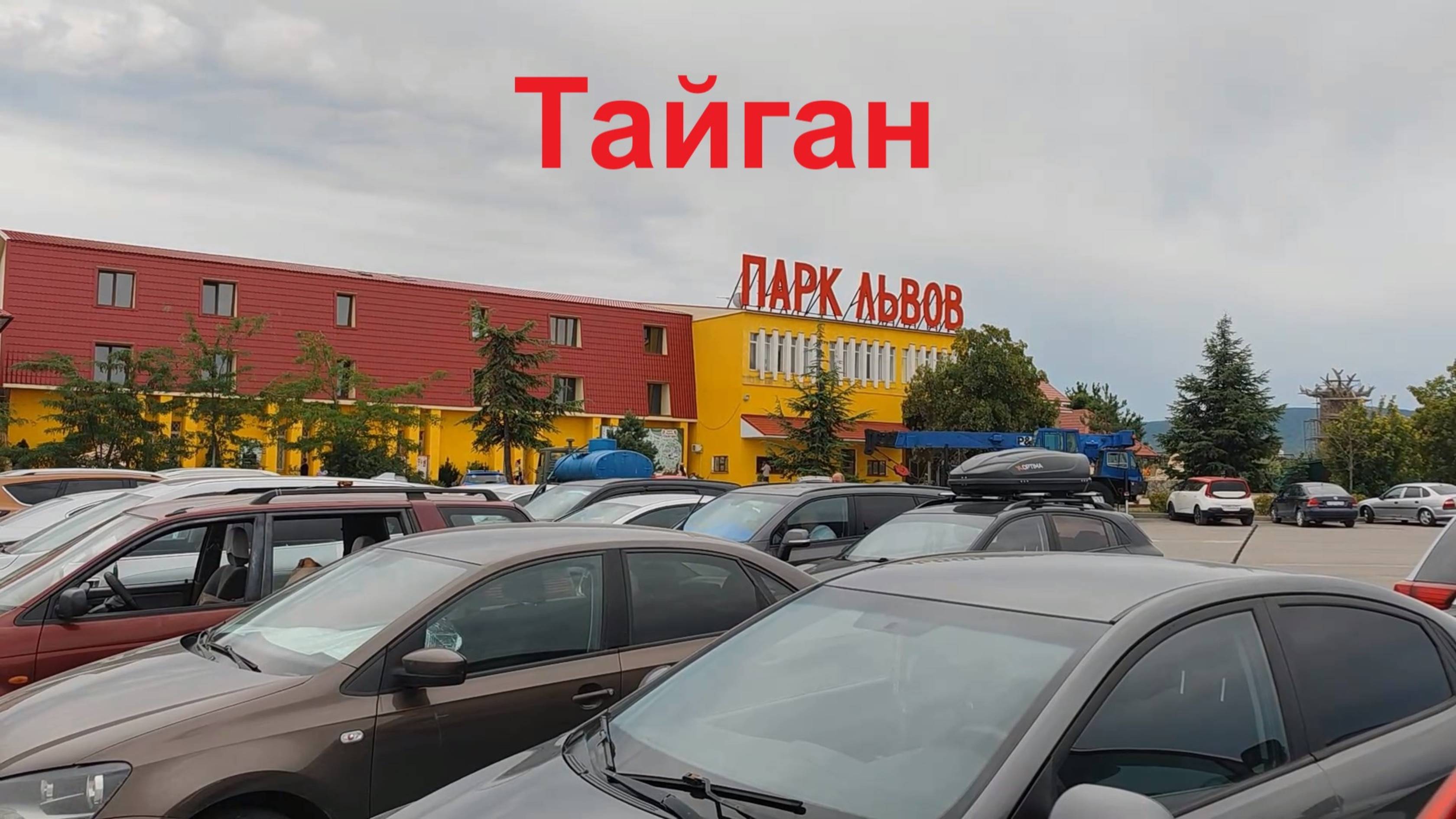 Весь парк львов Тайган каким он был в августе 2025г.