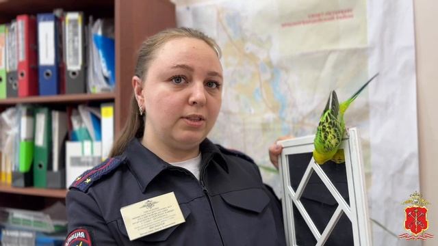 Отдел по вопросам миграции и попугаи Кеша и Петрушка