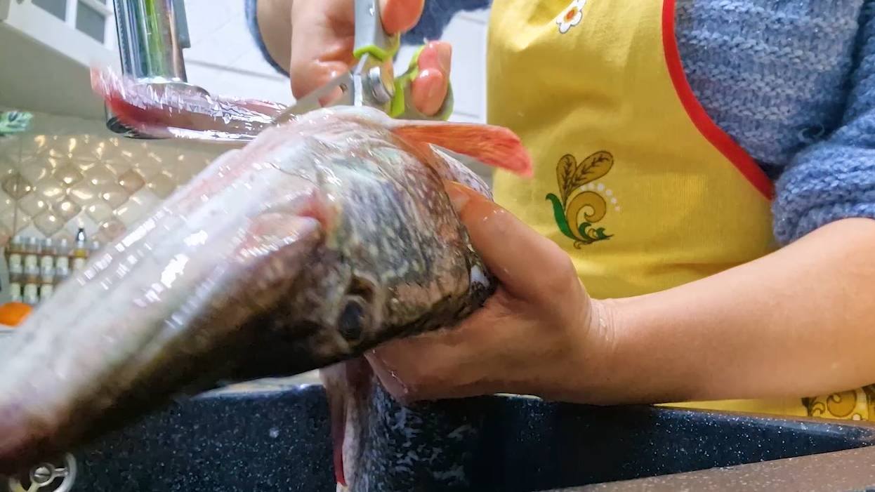 Обзор продуктовой закупки. Вновь переживательно за посылку 🥺   Чищу и жарю щуку 🤤