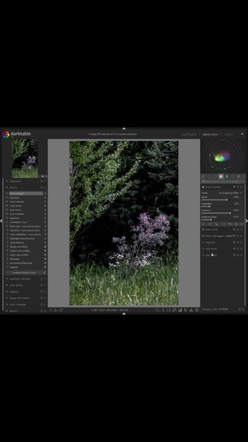 "Шиповник" постобработка фото 15 - цветовые зоны