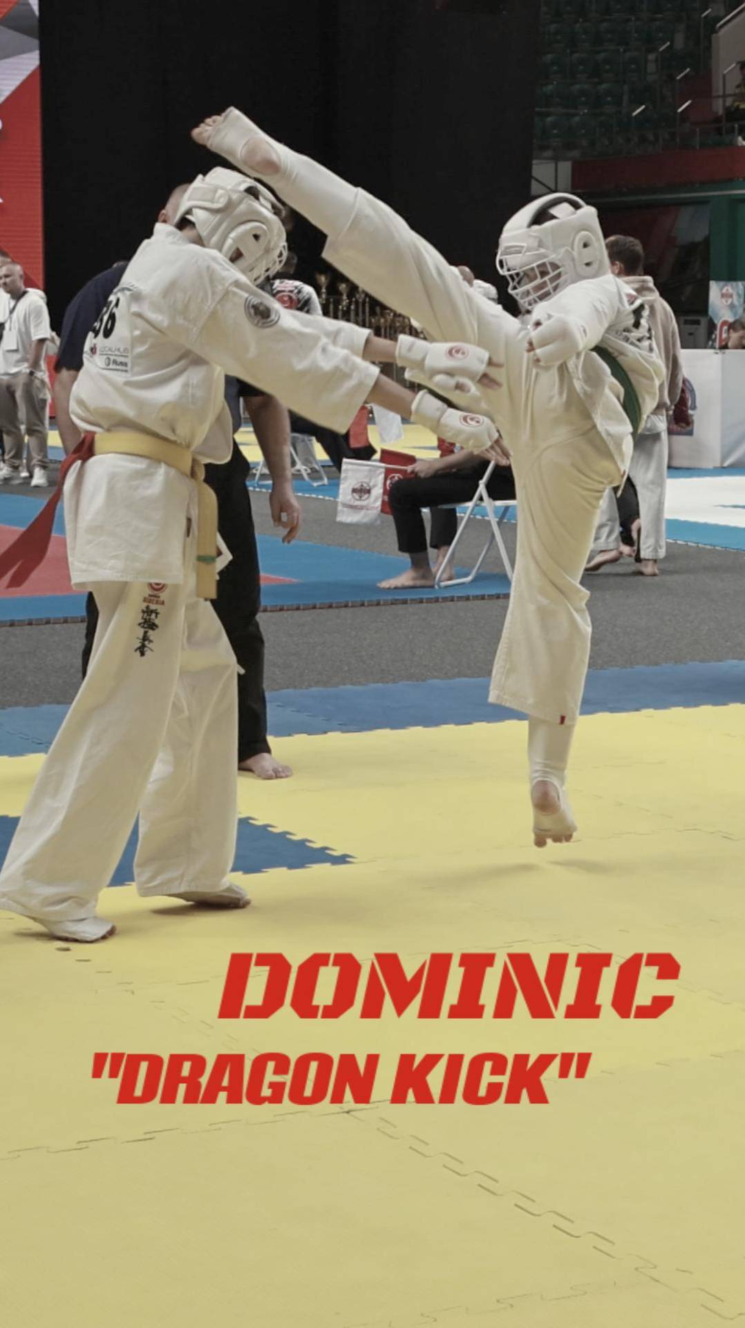 Доминик DRAGON KICK