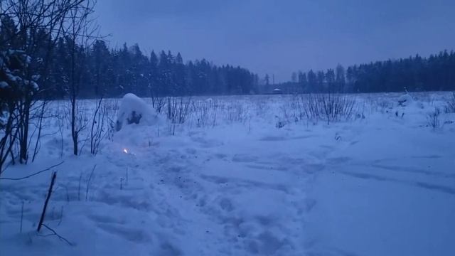 Петарда DUM BUM 50