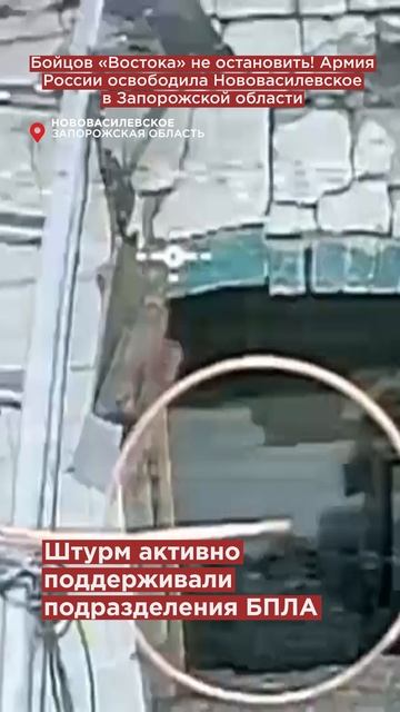 Бойцов «Востока» не остановить! Армия России освободила Нововасилевское в Запорожской области