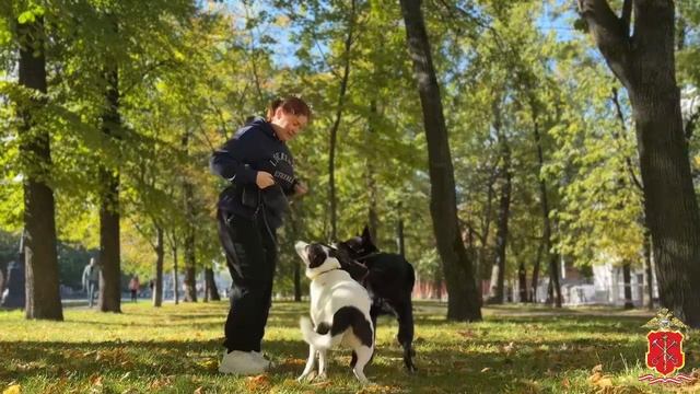 Сотрудник Специального полка полиции и 2 собаки