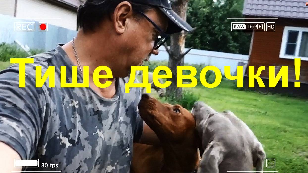 Тише, девочки, не все сразу!