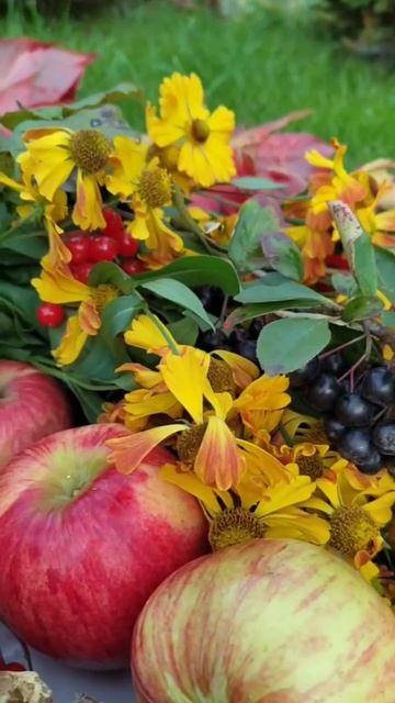 🍂🍁Конец сентября. Сад ещё зелёный, трава пружинит под ногами, воздух прозрачный.