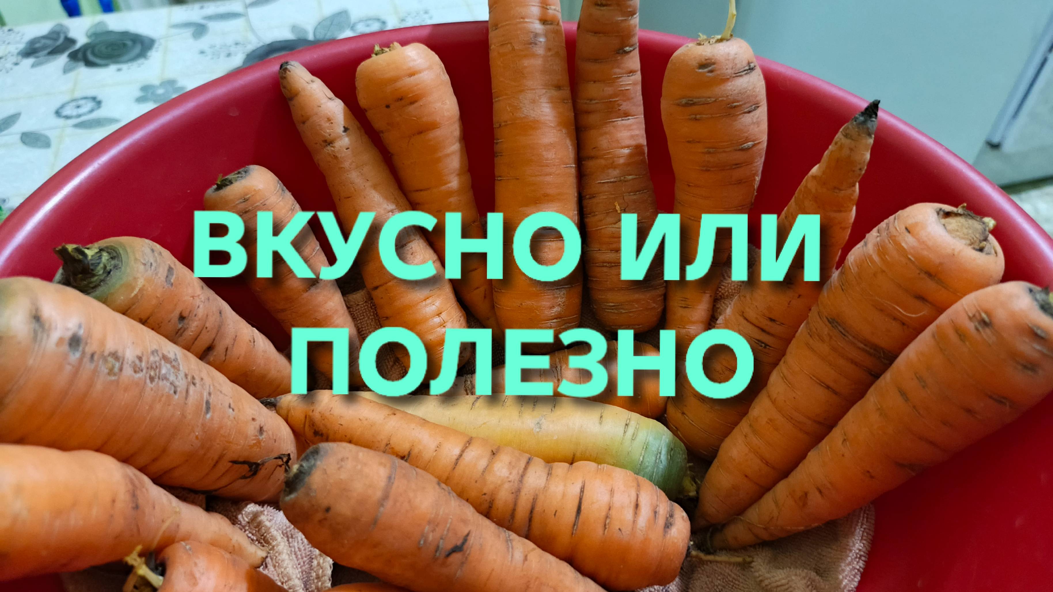 Для чего нужна морковка для кур-несушек