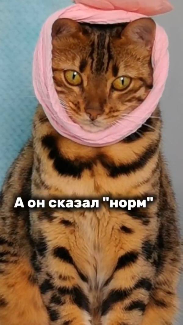 Когда немного завысила ожидания...