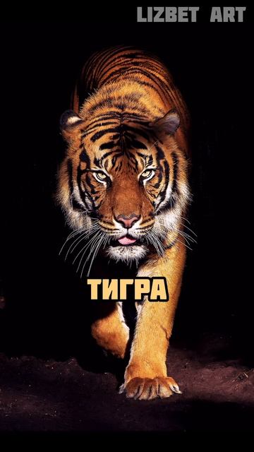 Рисую несуществующее животное 🦈+🐅=❓(ч.106) #tiktok #shorts #art #gouach