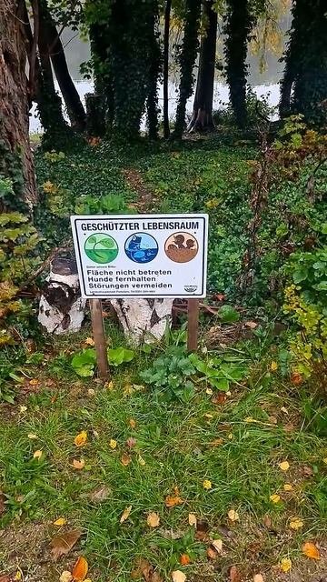 на рыбалку не пускают_(