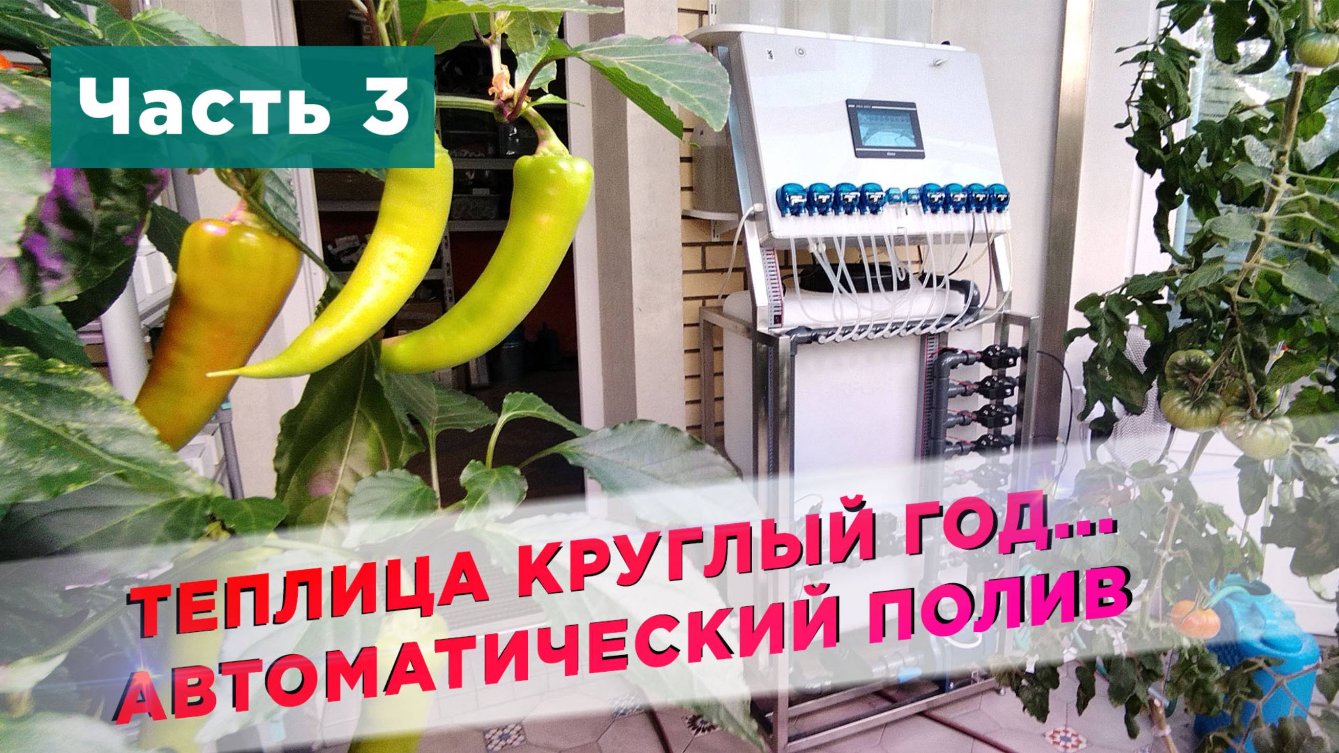 Растворный узел и автоматический полив (Часть 3)