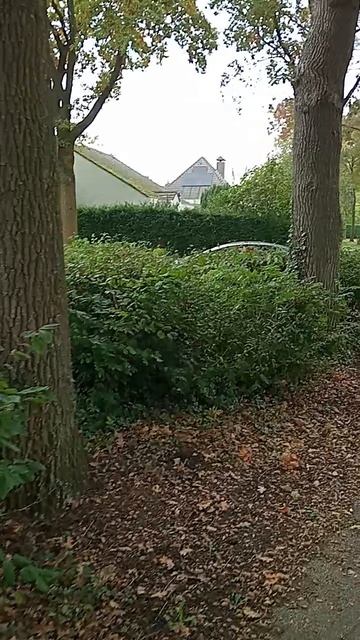 Тропарь святой Евфросинии Суздальской, 8 oktober