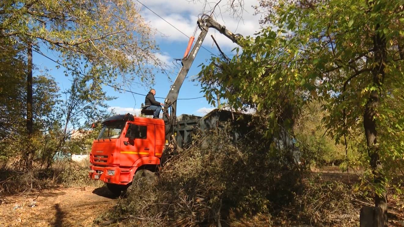 Коммунальные службы Оренбурга помогают вывезти спилы деревьев и кустарников с площадок ТКО