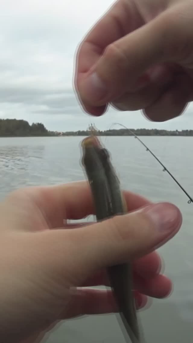 Бортовой фидер))) ловля с лодке.