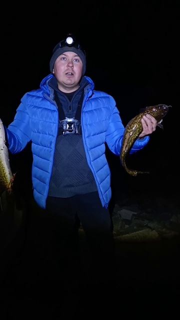 налим 🔥🔥🔥