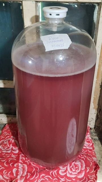 Вино, урожай 2025 года