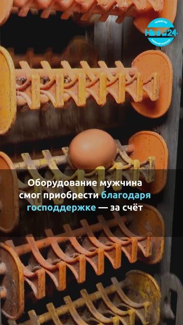 Птицеводство по‑новому: автоматизация и снижение себестоимости