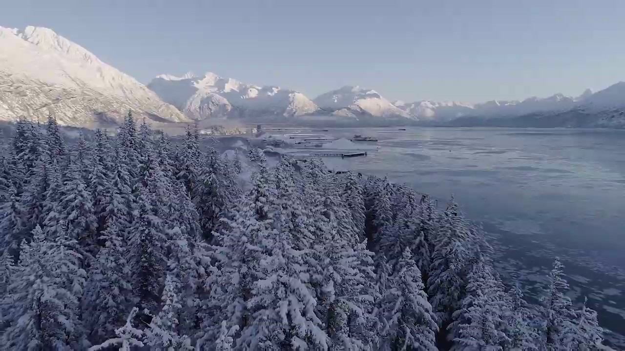 Фоновое видео. Трейлер канала "Frozen nature"