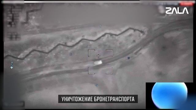 Ланцет и Z16 сентябрь 2025.