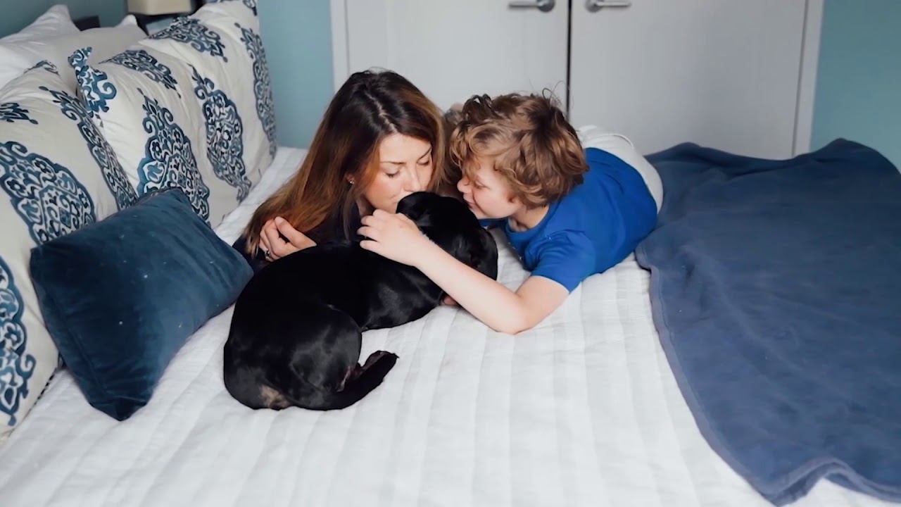 Фоновое видео. Трейлер канала "Family Film"