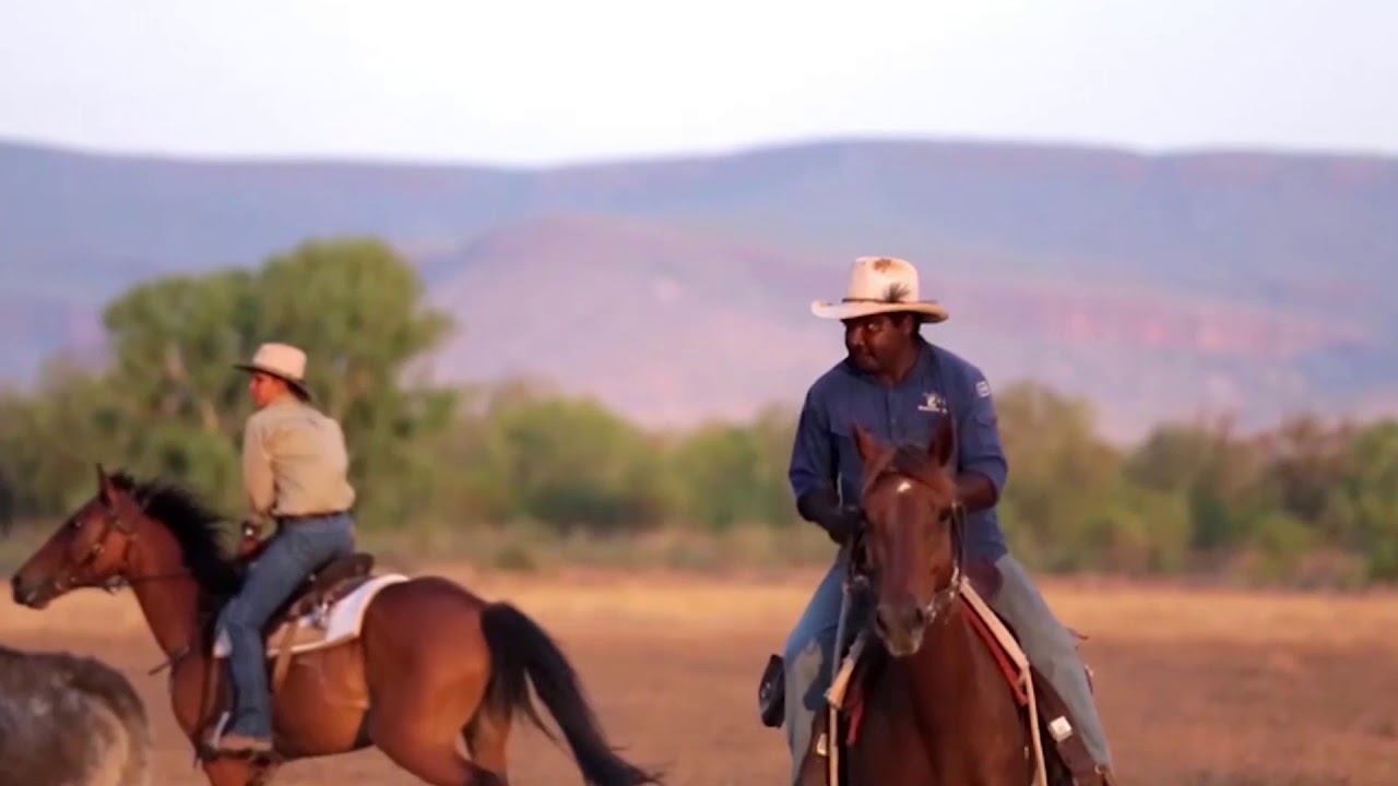 Фоновое видео. Трейлер канала "Australia"