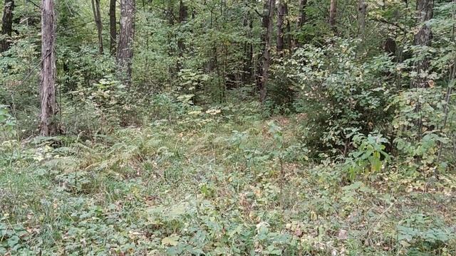 Доброе утро, мир!