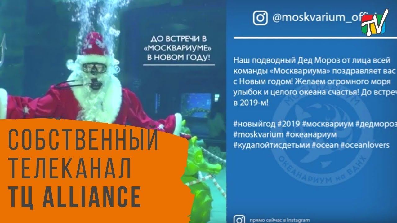 Собственный ТВ канал торгового центра (Alliance TV)