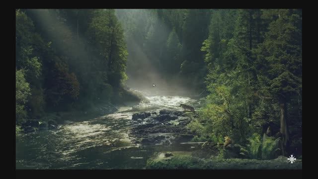 Far Cry 5 DLS ПРОДА) + "БАГ+ИСПЫТАНИЯ"