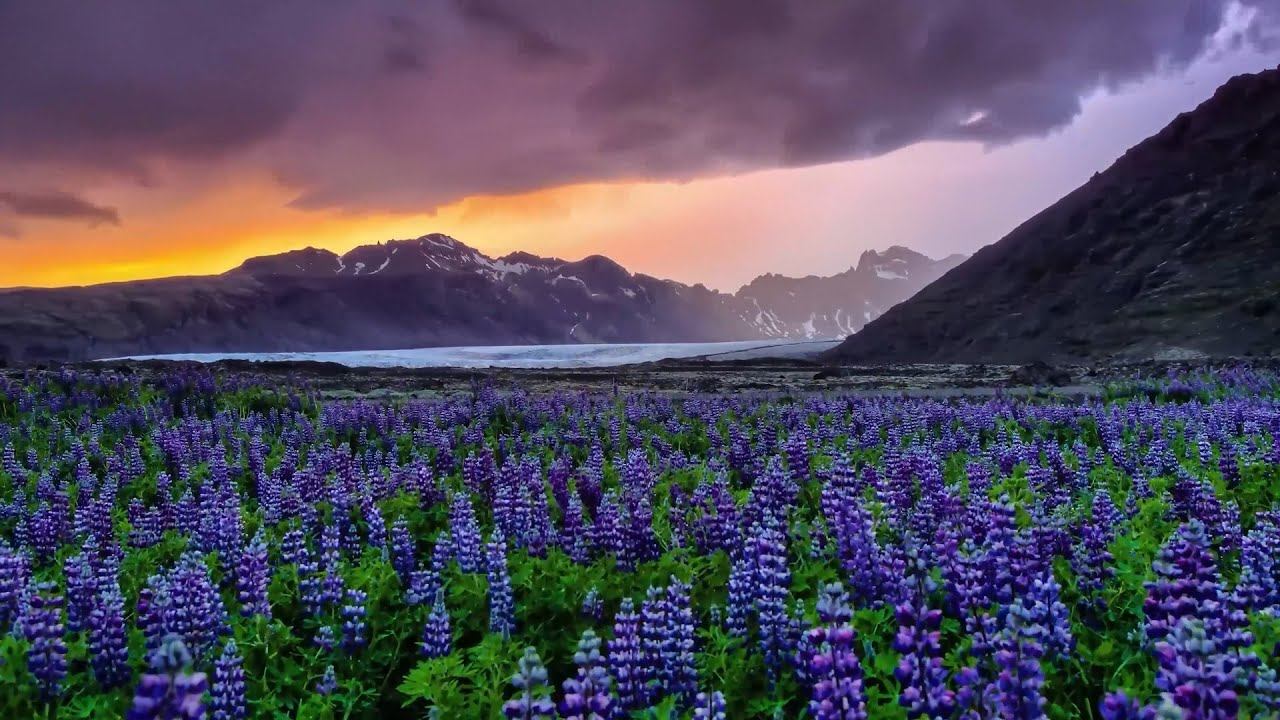 Фоновое видео. Трейлер канала "Nature"