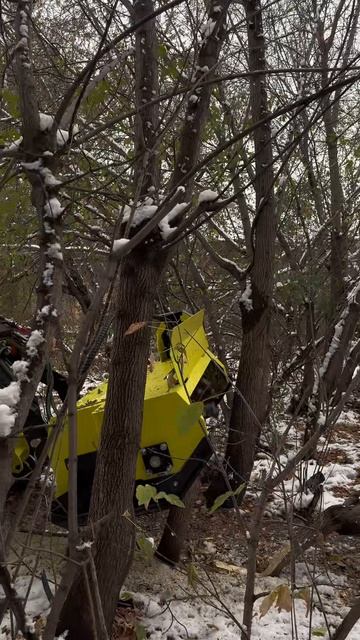 ЛЕСНОЙ МУЛЬЧЕР ДРОБИТ ДЕРЕВЬЯ И ПНИ В ЛЕСУ